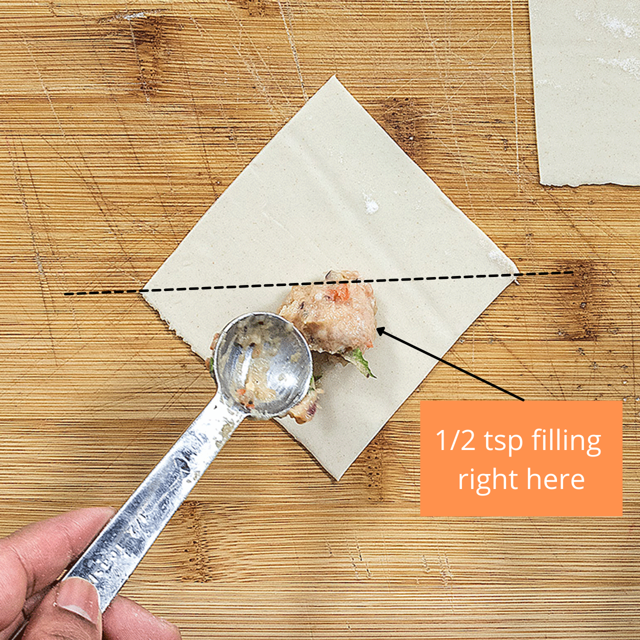Chicken and Shrimp Fried Wontons - Clove and Cumin